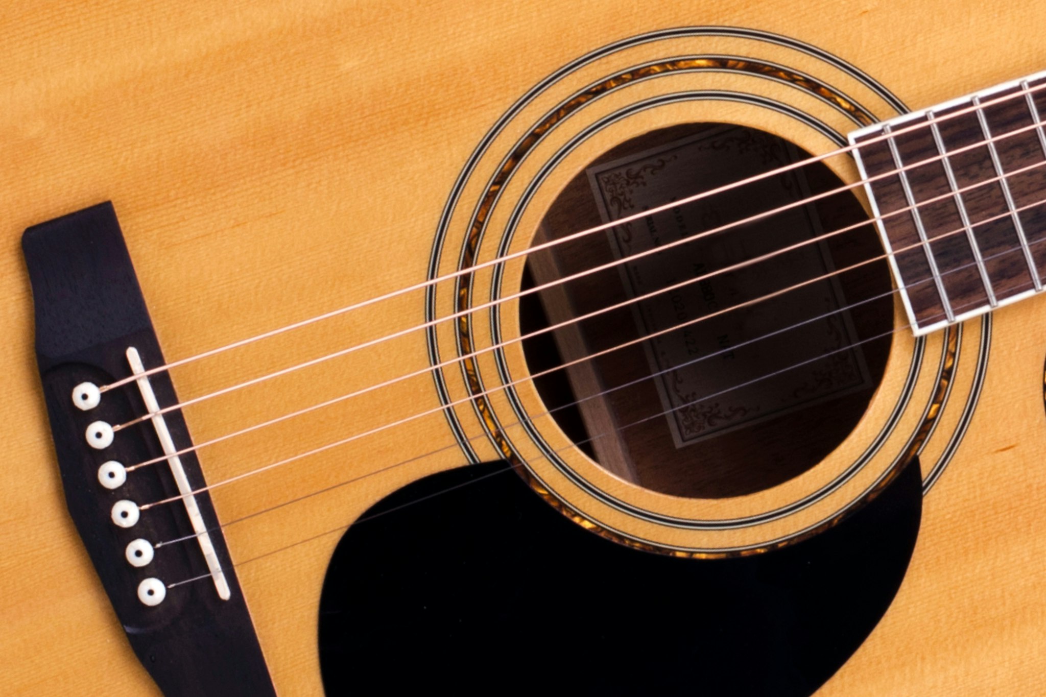 Learn the anatomy of the Acoustic Guitar - EverythingMusic.com