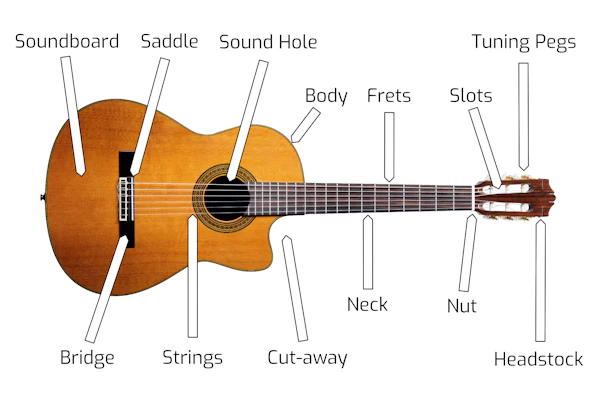 Learn the anatomy of the Acoustic Guitar - EverythingMusic.com