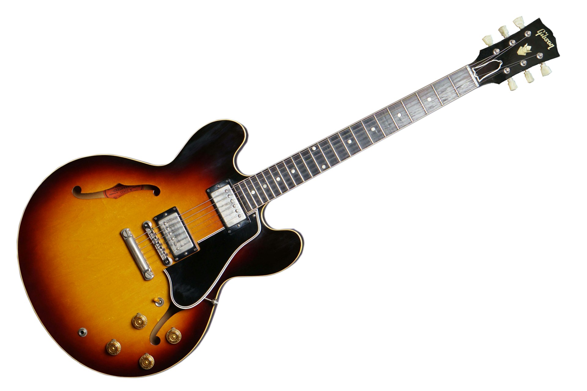 Learn the anatomy of the Electric Guitar - EverythingMusic.com