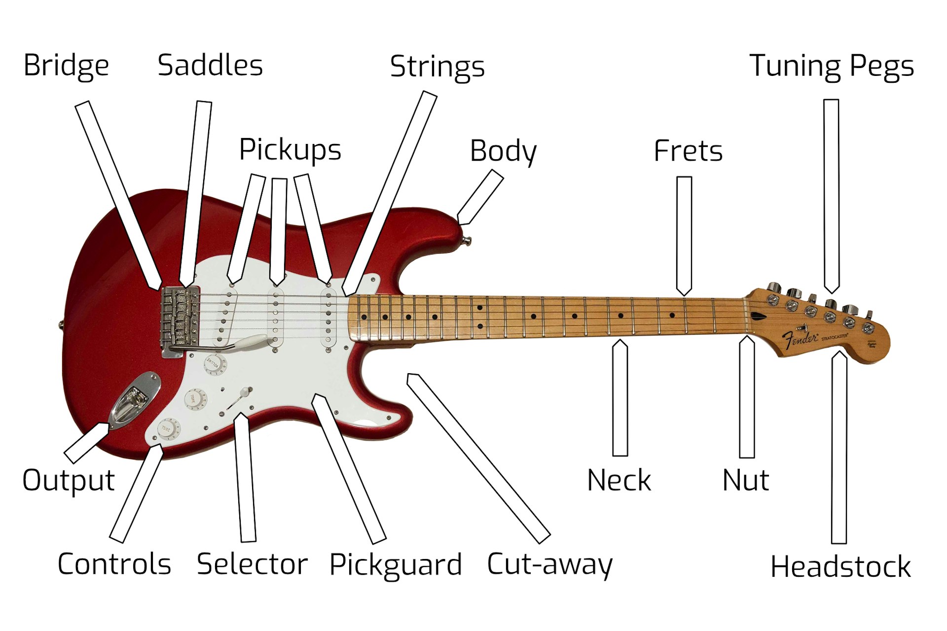 Learn the anatomy of the Electric Guitar - EverythingMusic.com