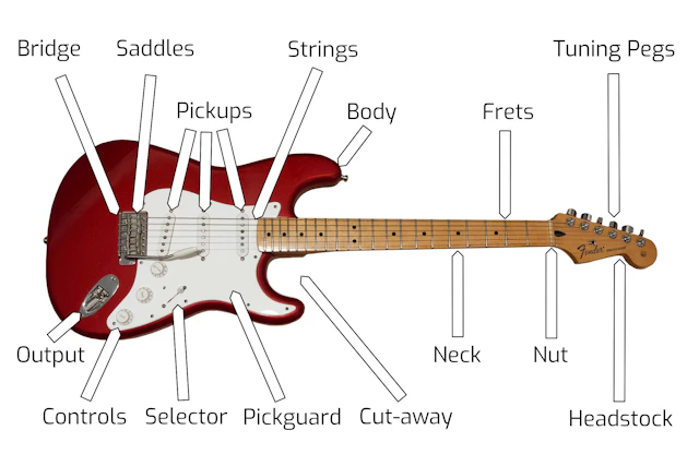 Learn the anatomy of the Electric Guitar - EverythingMusic.com